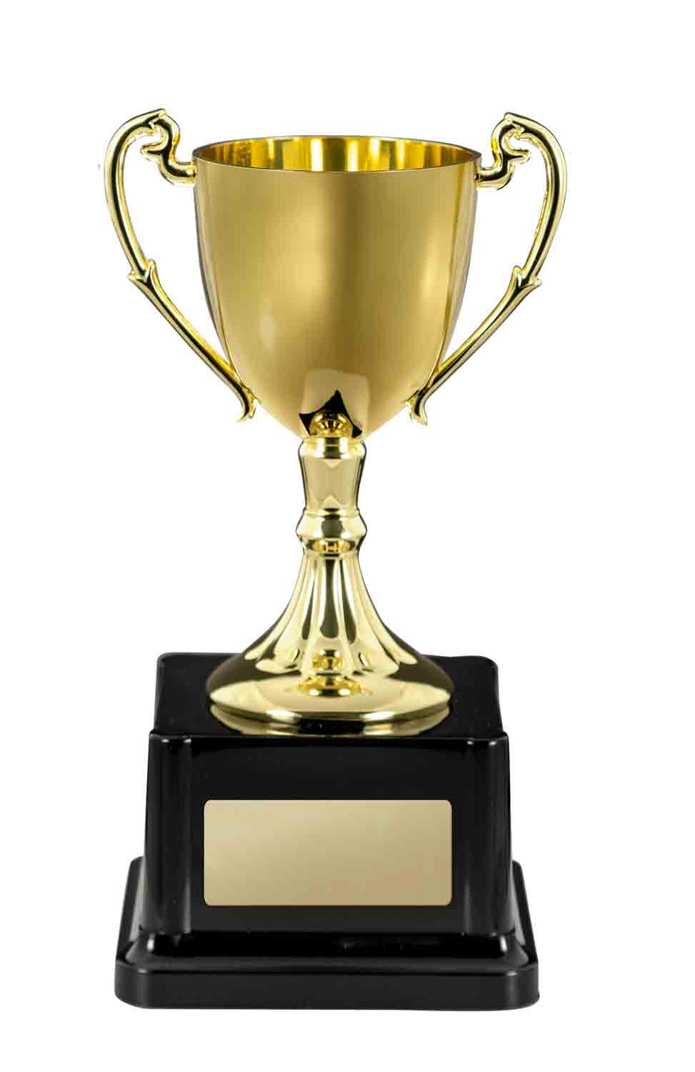 Gold Cast Cup